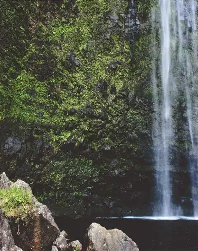 KOSPI ETF vs KOSDAQ ETF 차이점 및 수익률 비교- 허니비아